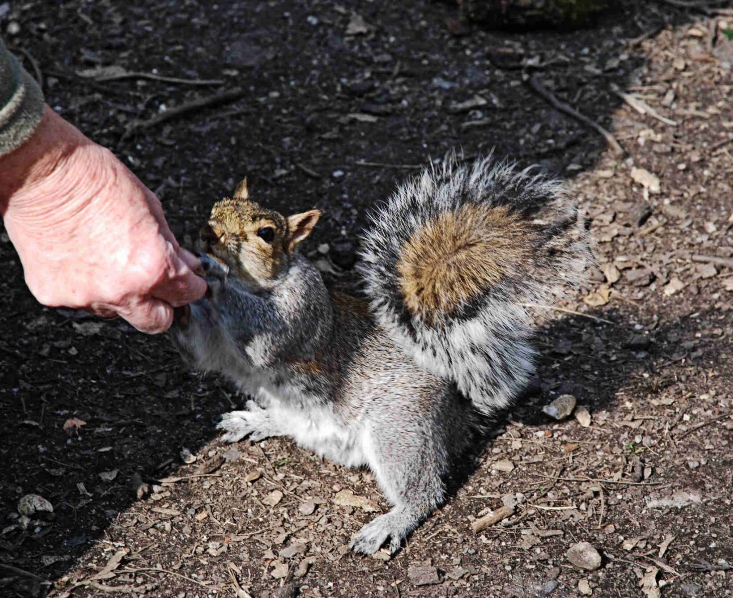 Tail spin brunch - Non-weather related photos - Netweather Community ...